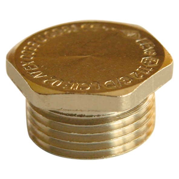 Express Electrical - Hexagonal IP68 Brass Stopping Plugs