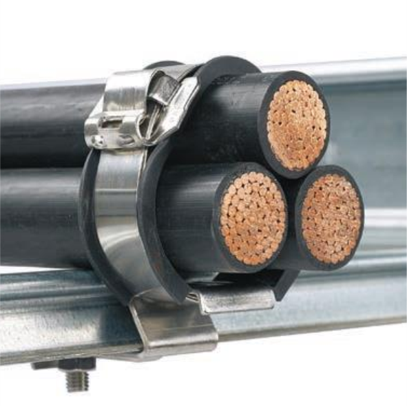 Express Electrical - Panduit SS316 Buckle Strap Cleats